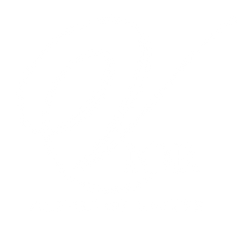 Vior Water